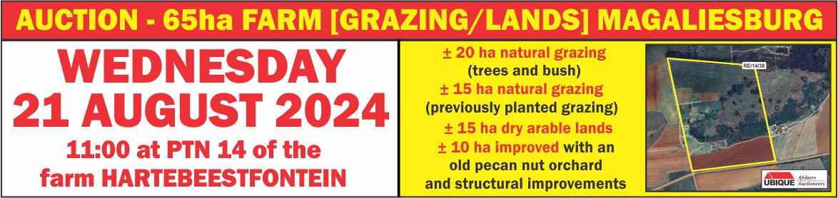 Auctions South Africa - Ubique Auctioneers