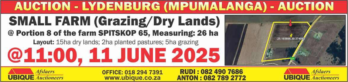 Auctions South Africa - Ubique Auctioneers