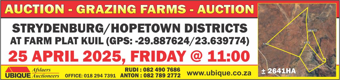 Auctions South Africa - Ubique Auctioneers