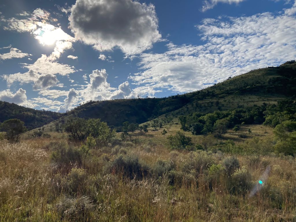 GROOT MARICO FARM - PORTIONS OF THE FARM DRAAIFONTEIN - Ubique Auctioneers